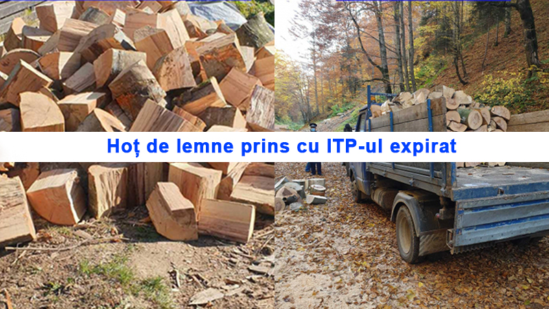 Hoț de lemne prins cu ITP-ul expirat